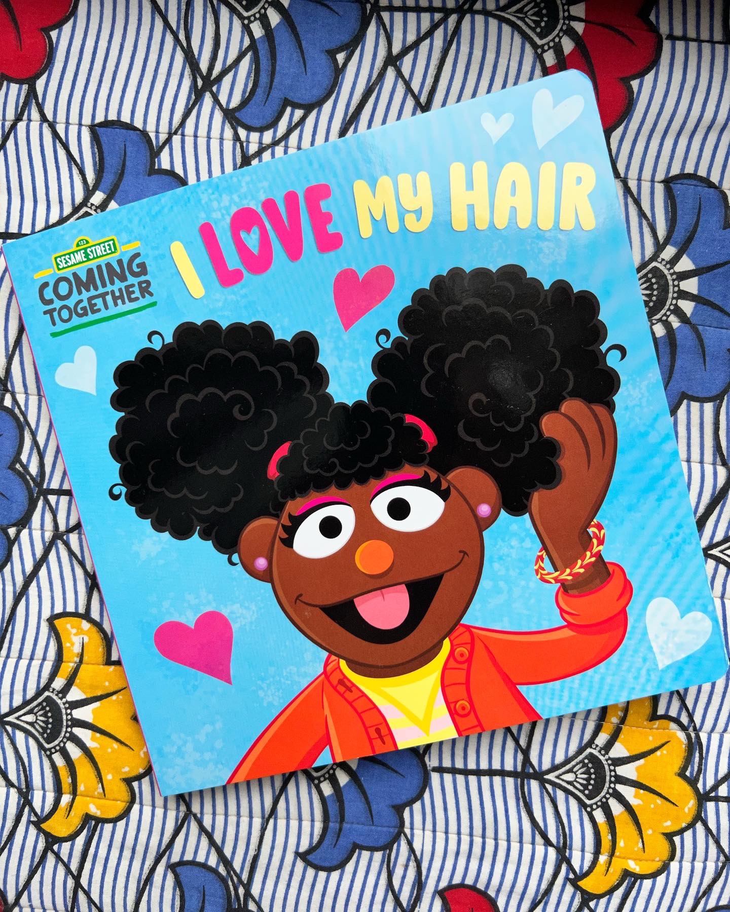 I LOVE MY HAIR (SESAME STREET) – Anthony Conley Art