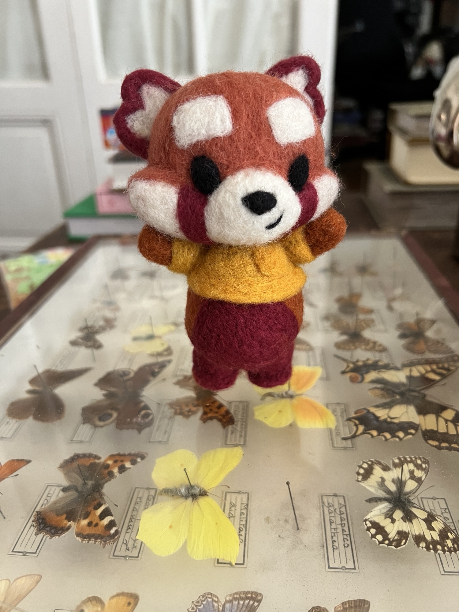 Pom, Adventures in Globetrotting – Anthony Conley Art