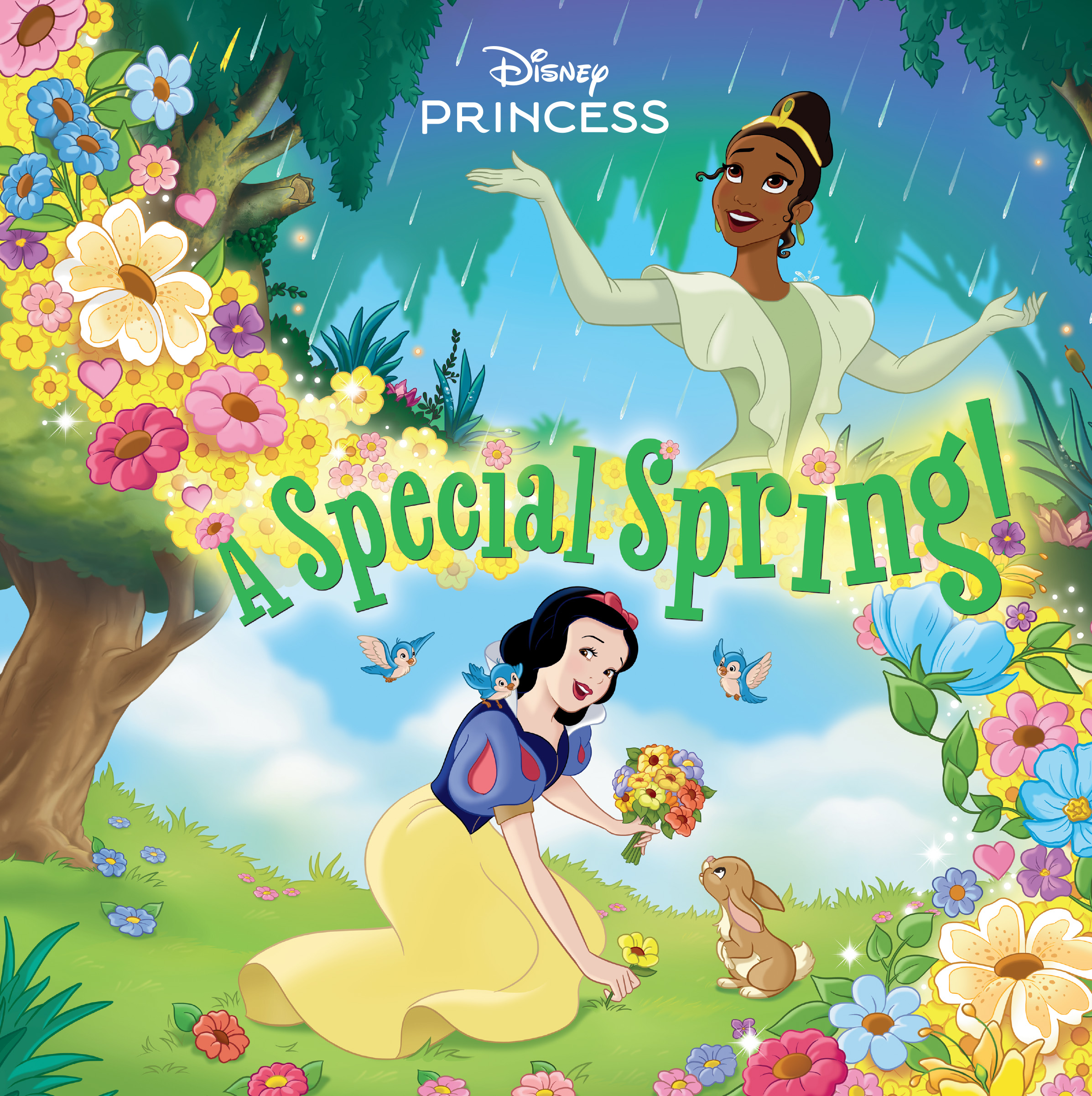 Disney Princess / A Special Spring! – Anthony Conley Art
